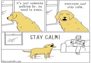 21 Memes That Will Restore Your Sense Of Humor - Funny Gallery | eBaum ...