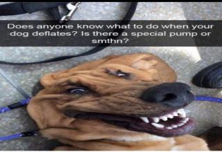 A Quick Drop Of 14 Good Memes - Funny Gallery | eBaum's World