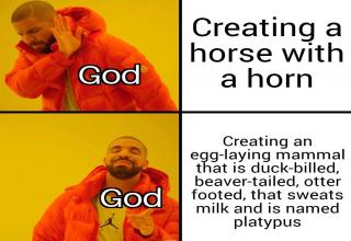 30 Pics And Memes That Are Just Grand - Funny Gallery | eBaum's World