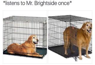 17 Pics And Memes About Our Furry Friends - Feels Gallery | eBaum's World