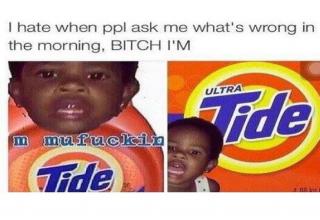 34 Memes That Will Help Distract You From Entropy - Funny Gallery ...