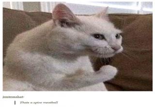 18 Memes That Provide You With Some Subtle Hints Of Joy - Funny Gallery ...