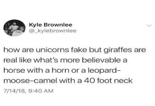 47 Memes That Our Supreme Leader Would Love | eBaum's World