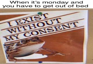 Random Funny Memes to Scroll Through at Leisure (40 Pics) - Funny ...
