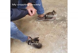 Random Funny Memes to Scroll Through at Leisure (40 Pics) - Funny ...