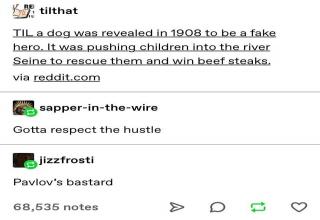 Freshly-Picked Memes For Casual Scrolling (40 Pics) - Funny Gallery ...