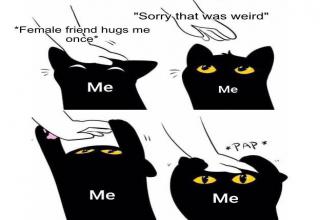 Fresh Memes To Chill at Home With (40 Pics) - Funny Gallery | eBaum's World