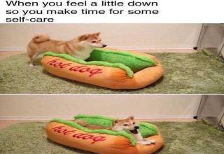 40 Random Memes For An Instant Mood Boost - Funny Gallery | eBaum's World