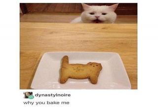 30 Fresh Memes That Are Worth A Look - Funny Gallery | eBaum's World