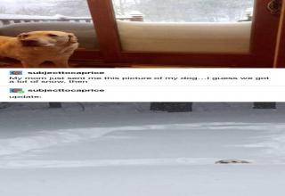 30 Funny Memes For When You Need A Distraction - Funny Gallery | eBaum ...