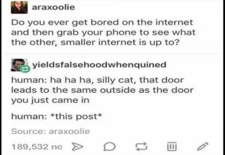 30 Random Memes To Add Some Spice To Your Life - Funny Gallery | eBaum ...