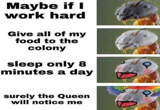 30 Random Memes In No Particular Order - Funny Gallery | eBaum's World