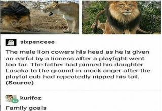 40 Funny Memes We Found on the Interwebz - Funny Gallery | eBaum's World