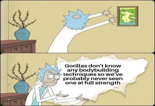 Stop Scrolling And Enjoy 30 Funny Memes Right Now - Funny Gallery ...