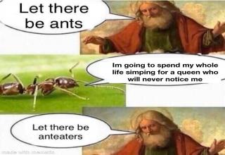 30 Funny Memes To Get You Through The Day - Funny Gallery | eBaum's World