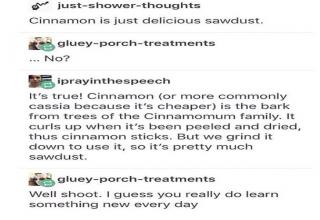 30 Funny Memes To Contain Your Laughter - Funny Gallery | eBaum's World