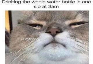 30 Funny Memes To Contain Your Laughter - Funny Gallery | eBaum's World