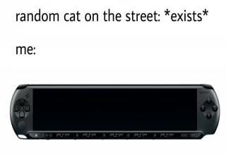 30 Funny Memes To Contain Your Laughter - Funny Gallery | eBaum's World