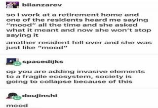 29 Random Memes For Mindless Consumption - Funny Gallery | eBaum's World