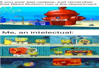 30 Funny Memes To Satisfy Your Comedy Cravings - Funny Gallery | eBaum ...