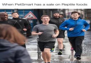 38 Random Funnies In No Particular Order - Funny Gallery | eBaum's World