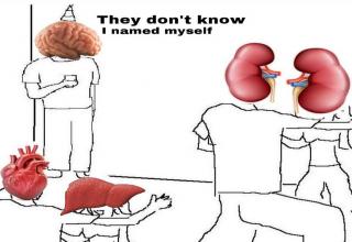 27 Funny Memes To Satisfy Your Comedy Needs - Funny Gallery | eBaum's World