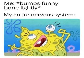 41 Funny Memes that are Truth Bombs - Funny Gallery | eBaum's World