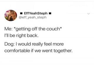 44 Random Funny Memes to Run the Clock Out With | eBaum's World