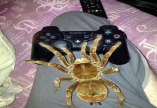 19 Edgy Cursed Images to Spook You - Wtf Gallery | eBaum's World