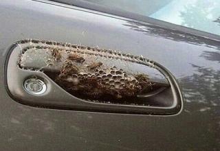 19 Edgy Cursed Images to Spook You - Wtf Gallery | eBaum's World