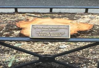 25 Super Cursed Pics that Cause Concern | eBaum's World