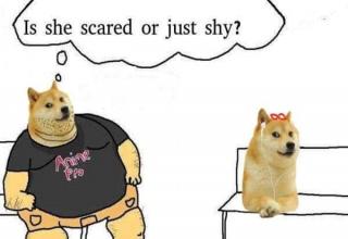 49 Random Reaction Images For You to Use | eBaum's World