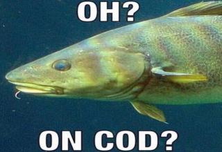 49 Random Reaction Images For You to Use | eBaum's World