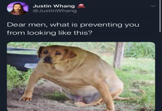 15 Memes From Twitter's Controversial 'Dear Men' Question - Funny ...