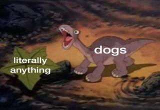 31 Solid Funny Memes To Tear Up That Laugh Box - Funny Gallery | eBaum ...