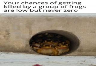 31 Solid Funny Memes To Tear Up That Laugh Box - Funny Gallery | eBaum ...