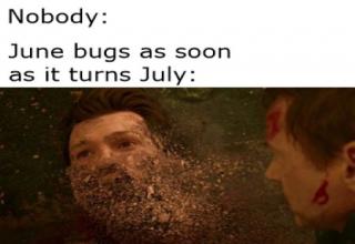 26 High Level Memes For Refined Memers - Funny Gallery | eBaum's World