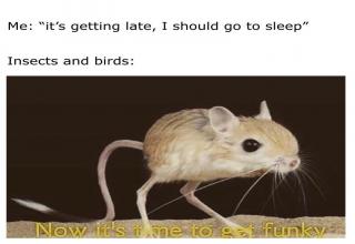 47 Funny Memes From Me To You - Funny Gallery | eBaum's World