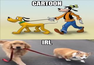 31 A- Level Memes to Laugh To - Funny Gallery | eBaum's World