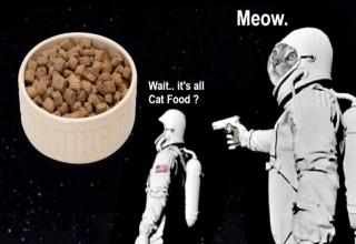 33 'Wait, It's All Ohio? Always Has Been' Astronaut Memes That Are Out ...