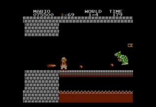 15 Weird Bowser Facts That No One Talks About - Funny Gallery | eBaum's ...