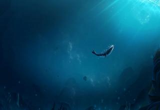 23 Creepy and Disturbing Facts about the World’s Oceans - Wtf Gallery ...