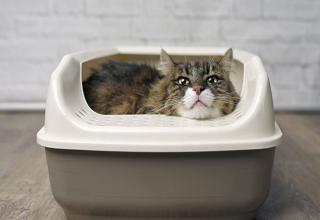 25 Normal Things That Look SUS At Night - Funny Gallery | eBaum's World