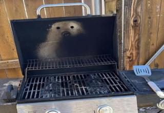 20 Objects That Look Strikingly like Other Things - Funny Gallery ...