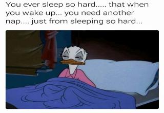 51 Funny Pics To Help Work Out Your Abs - Funny Gallery | eBaum's World