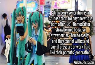 32 Random Savory Pictures - Wow Gallery | eBaum's World