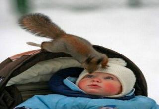 31 Random Pics To Make You Feel Good - Funny Gallery | eBaum's World