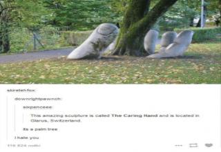 Midweek Medley of Memes with a Delicate Bouquet of Pics - Wtf Gallery ...