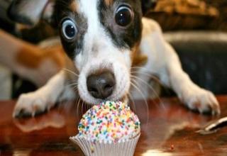 38 Awesome Pics To Kill Time - Wtf Gallery | eBaum's World