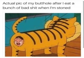 Nonchalant Compilation Of 46 Remarkable Images - Funny Gallery | eBaum ...